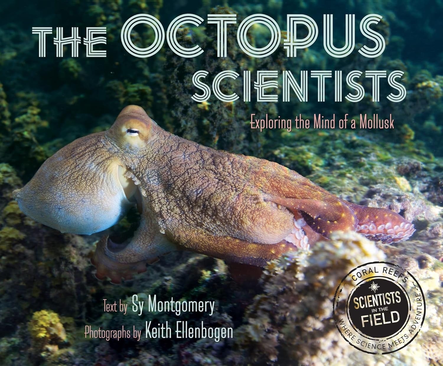 Octopus Scientists | Museum Of The Aleutians Gift Shop